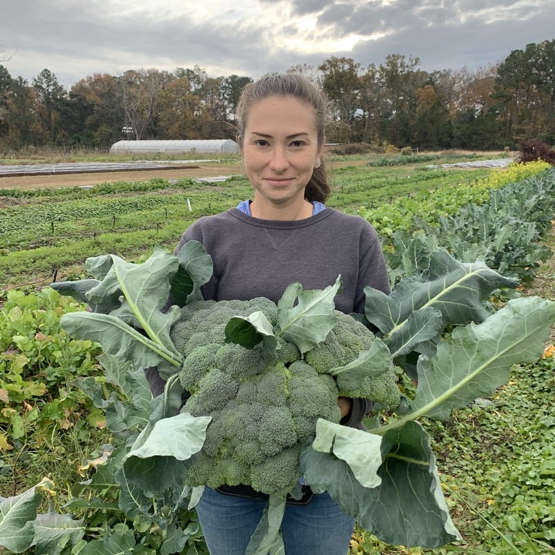 DAISY BRANCH FARM